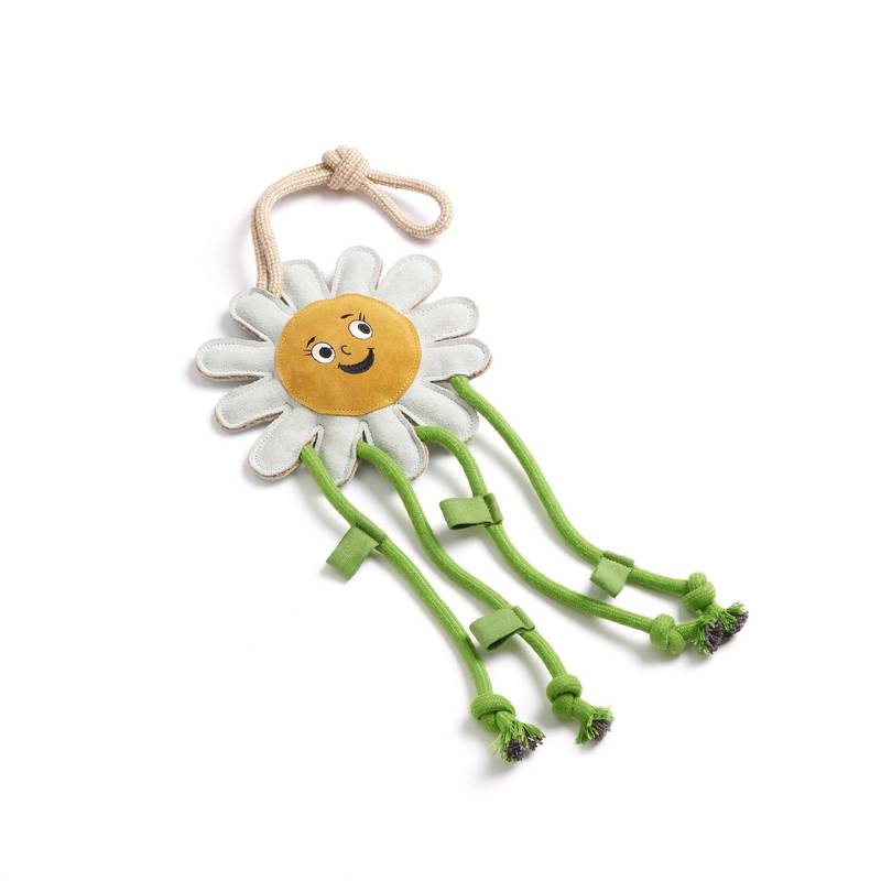 Crazy Daisy, Eco Horse Toy – Green and Wilds - Retail