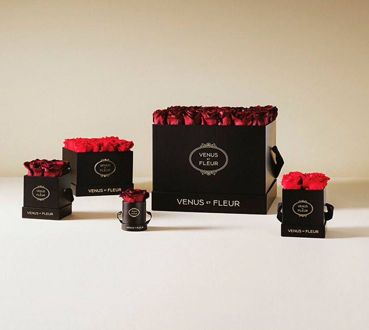 Best Selling & Most Popular Preserved Flowers | Venus et Fleur