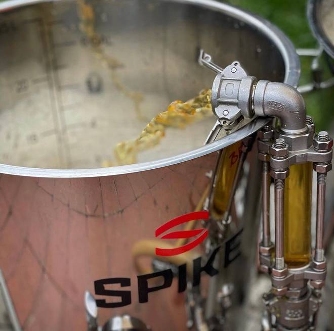 FLEX+ | Spike Brewing