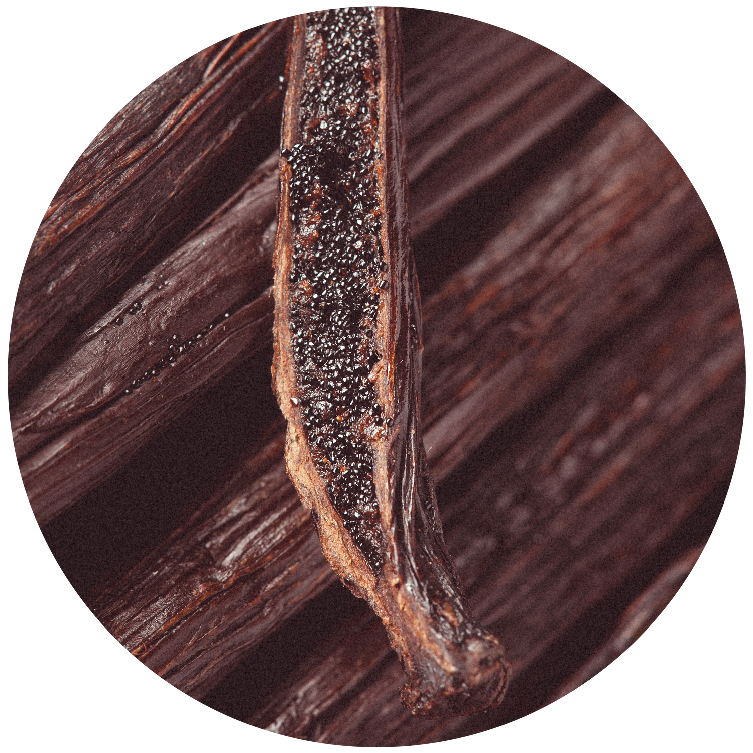 Buy French Pear Reed Diffuser by ECOYA AU online - ECOYA Australia