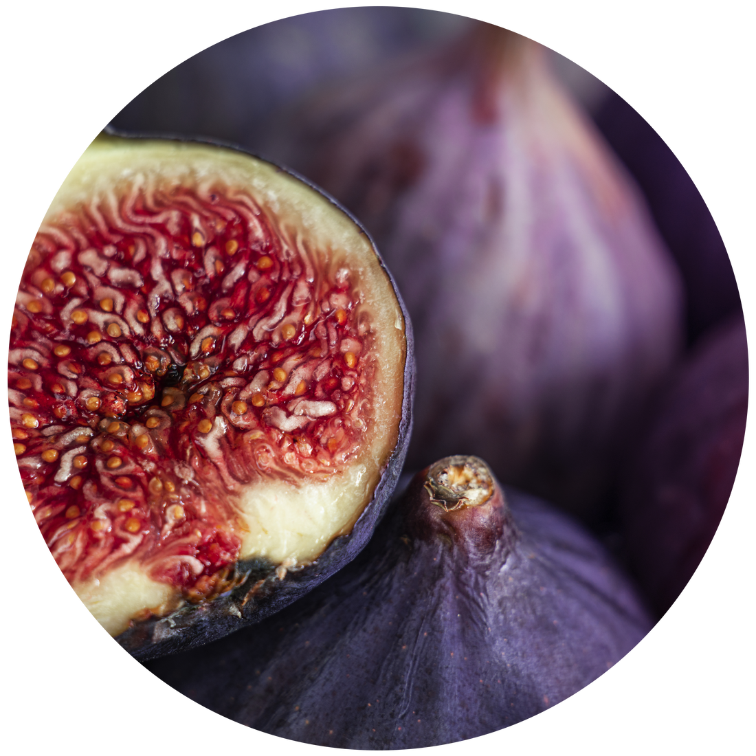 Buy Wild Sage & Citrus Ceramic Stone by ECOYA New Zealand Trade Portal ...