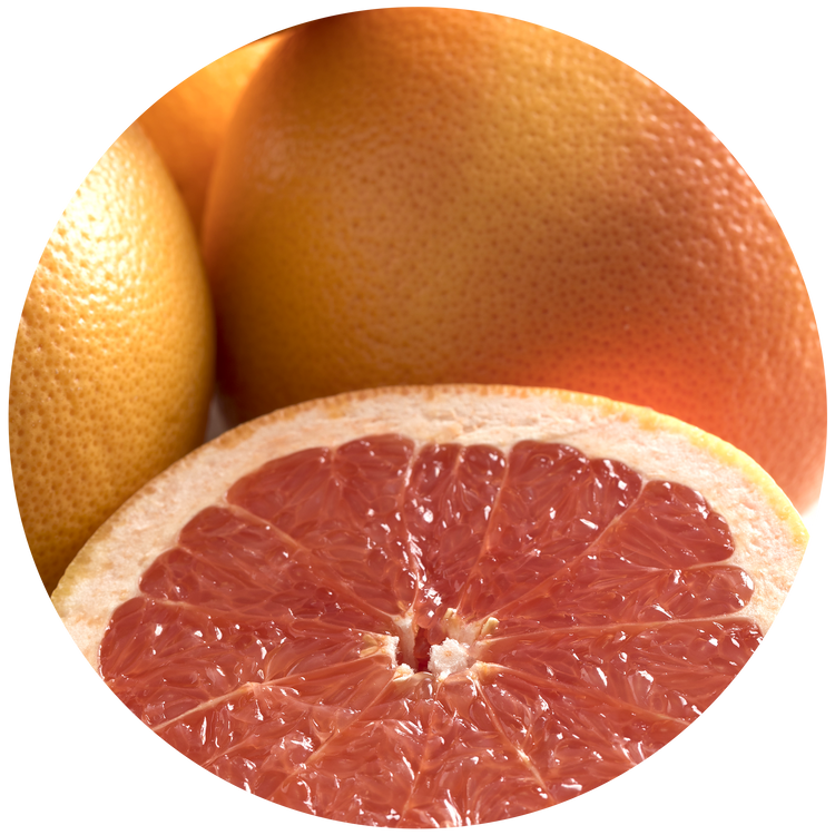 Buy Tahitian Lime & Grapefruit Fragranced Hand Wash by ECOYA NZ online ...