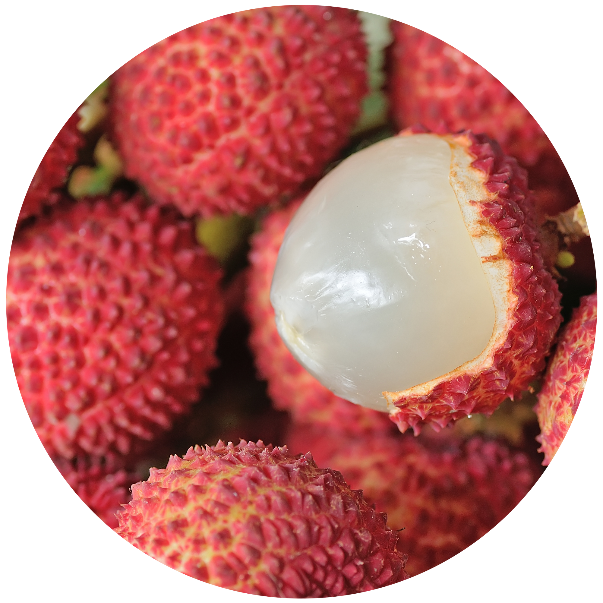 Buy Guava & Lychee Sorbet Madison Candle by ECOYA AU online - ECOYA ...