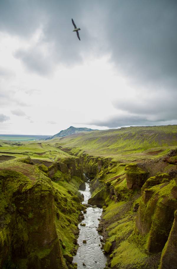 Josh Jorgensen – Peak Refuel