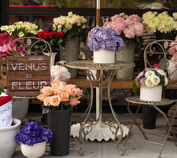 Mixed Arrangements of Preserved Roses and Flowers - Venus et Fleur®