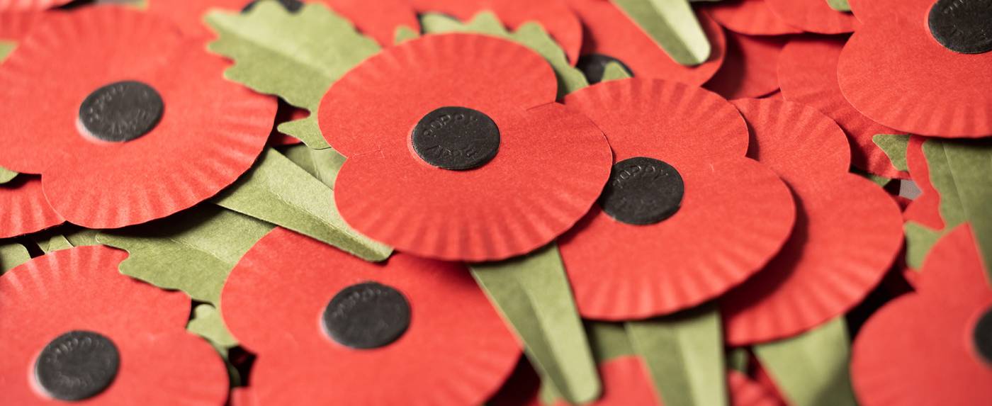 Plastic-Free Paper Poppy | Poppy Shop UK