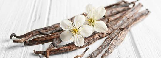 Vanilla Tea - Vanilla Tea Bags & Loose Leaf Tea - Twinings