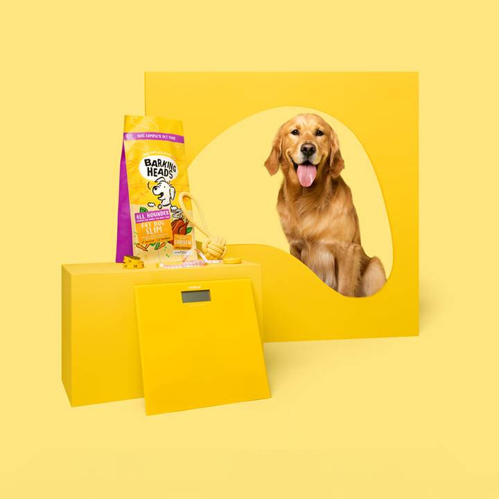 Fat Dog Slim (Low Fat) Dog Food – Barking Heads & Meowing Heads