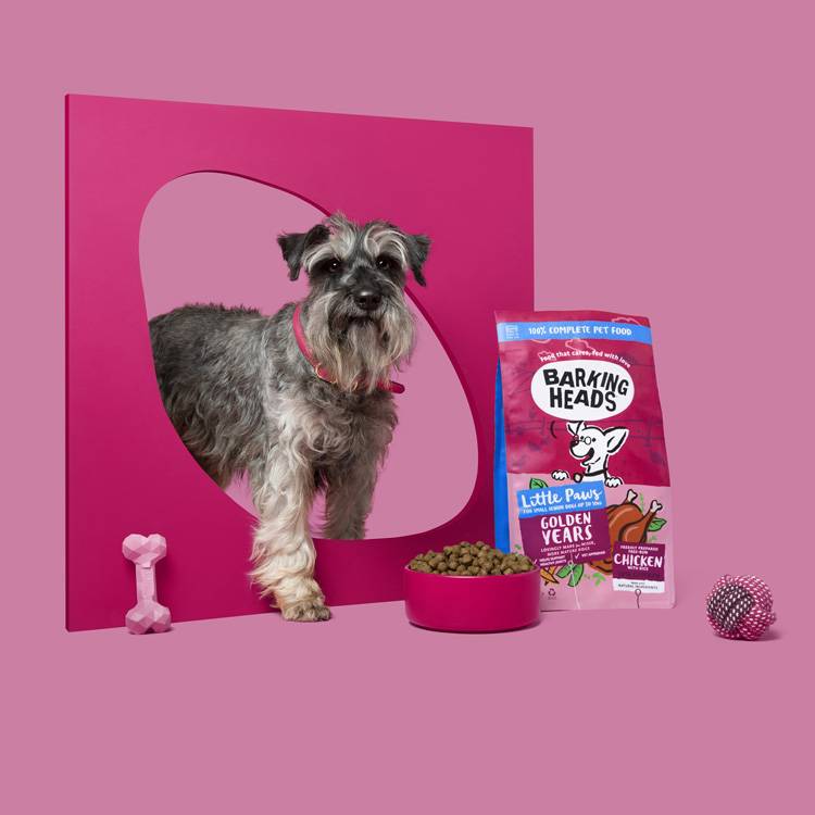 Little Paws (small breed) – Barking Heads & Meowing Heads