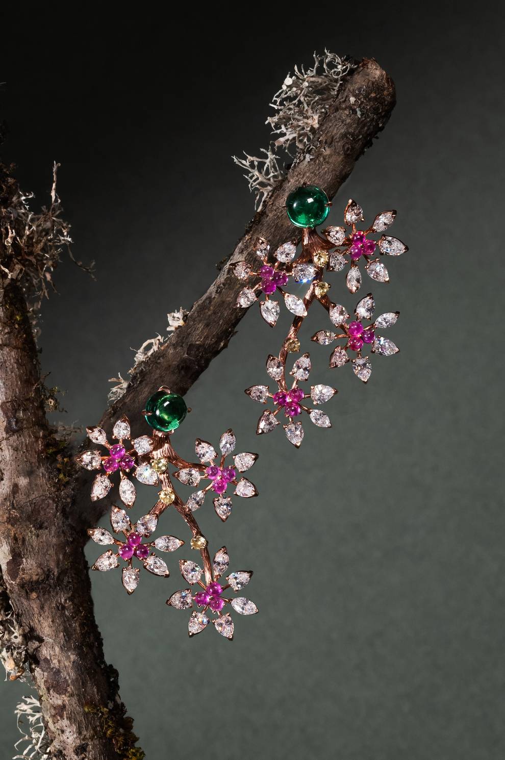 Nature Series – REZA
