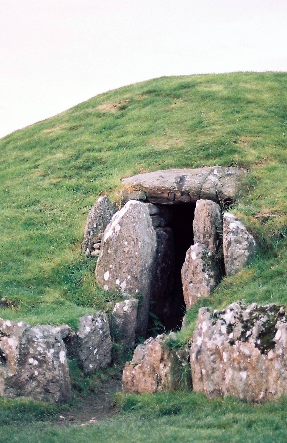 Weird Walk | Goodhood Worldwide