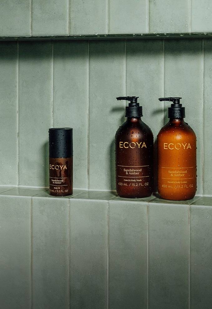 Shop Celebration By ECOYA Online In New Zealand – ECOYA NZ