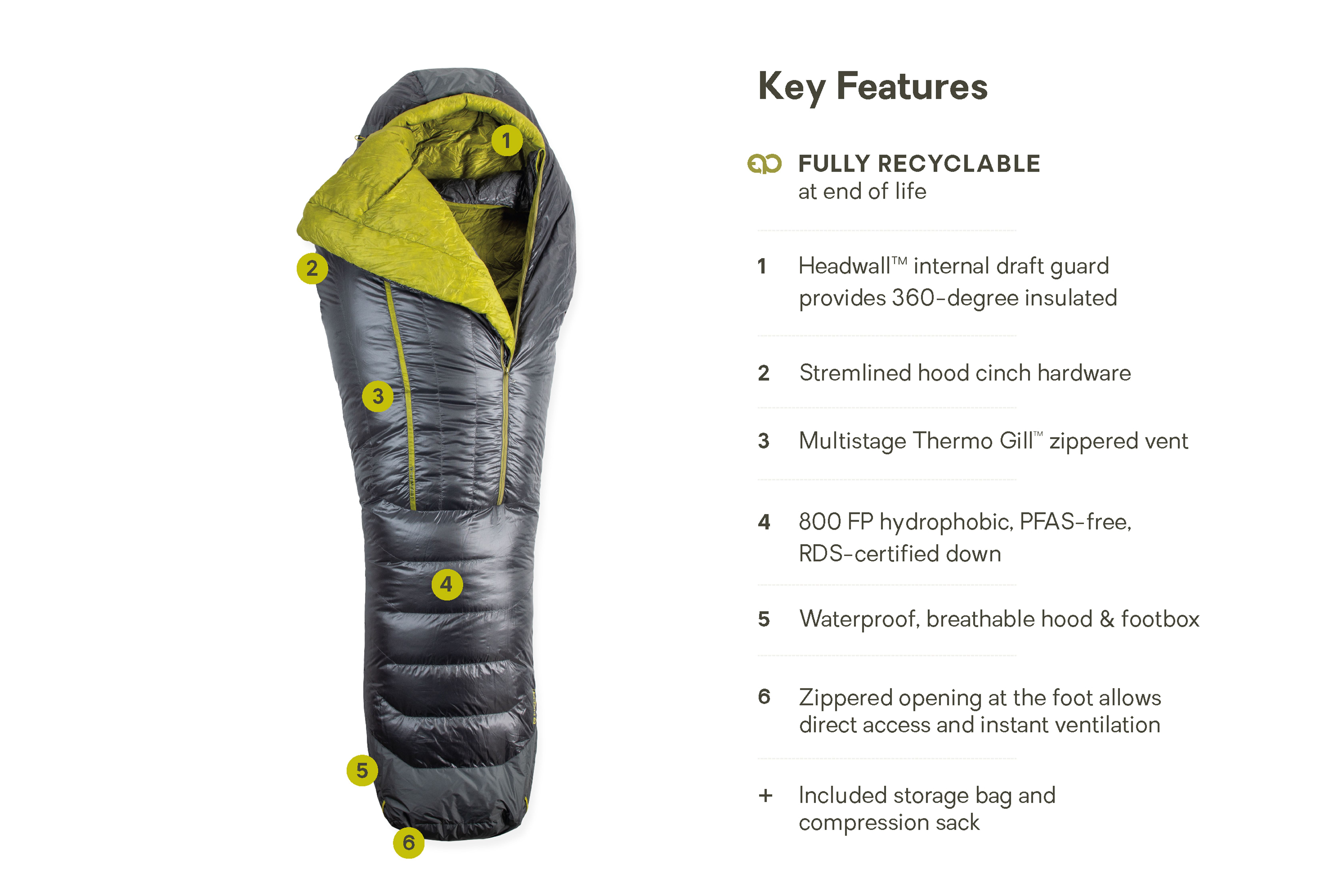 Coda™ Endless Promise® Down Mummy Sleeping Bag