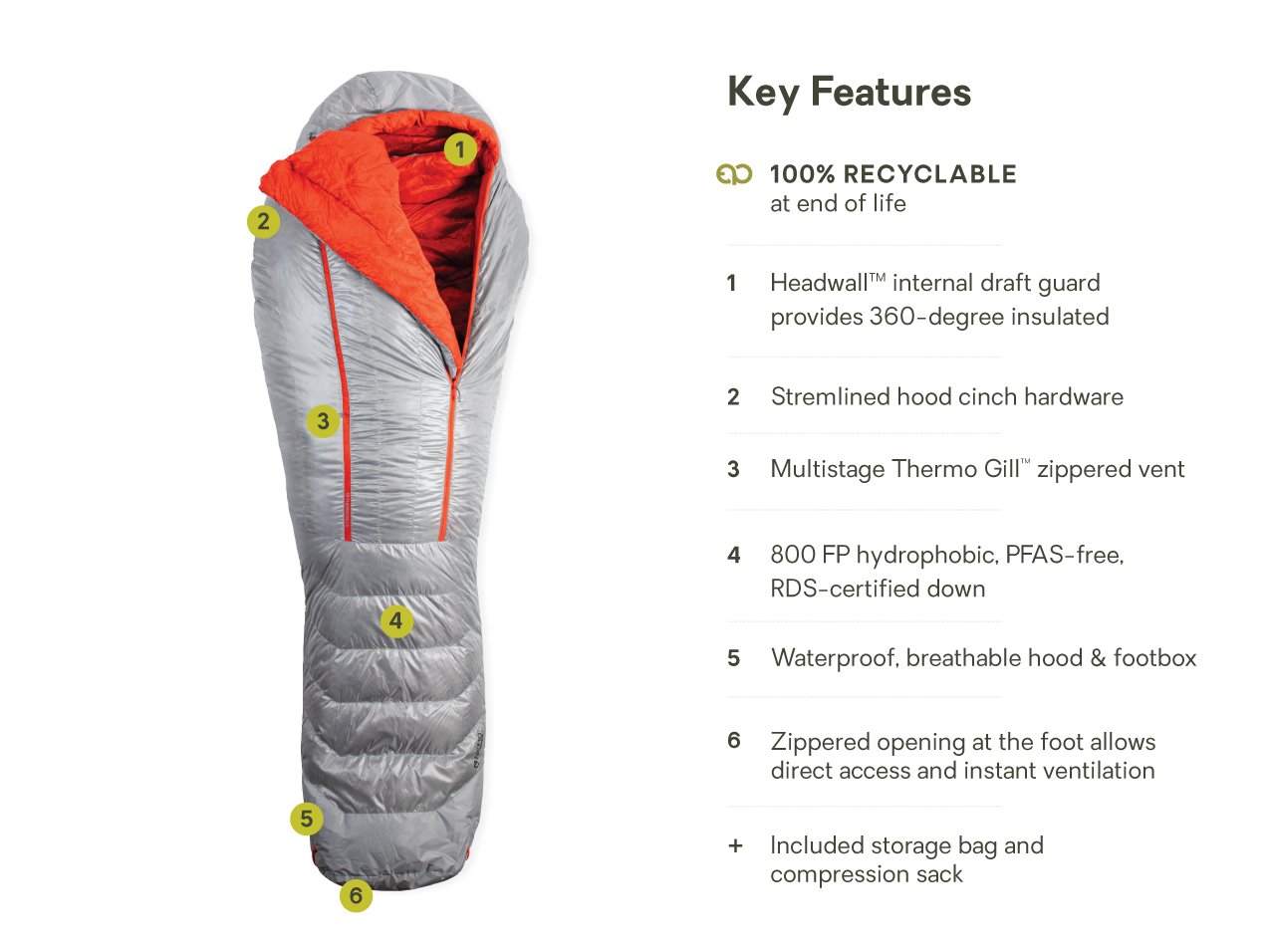 Coda™ Endless Promise® Down Mummy Sleeping Bag