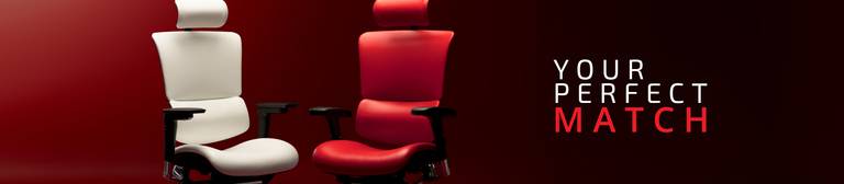 Office Chairs | X-Chair Official Site