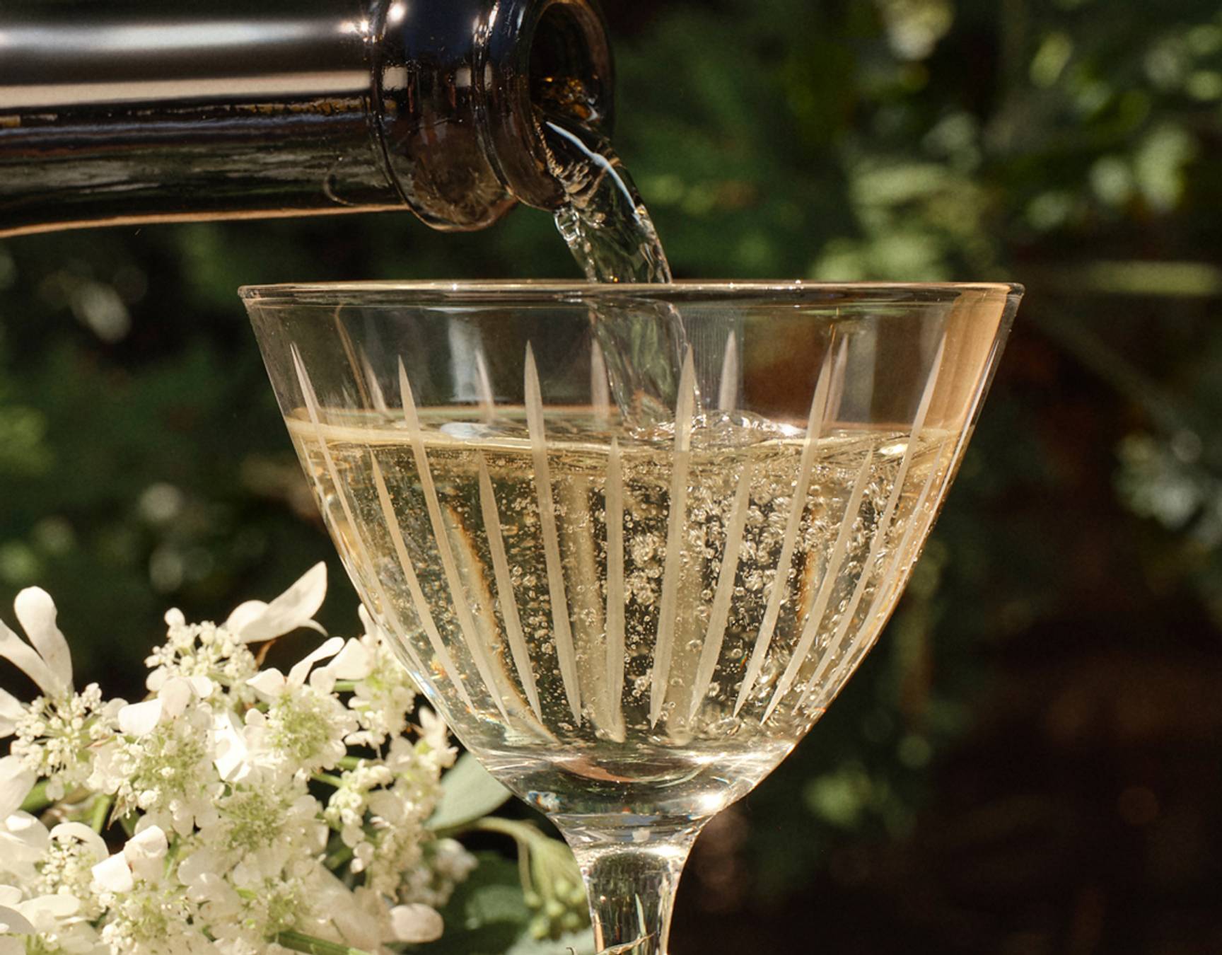Organic Sparkling Wine from Avaline