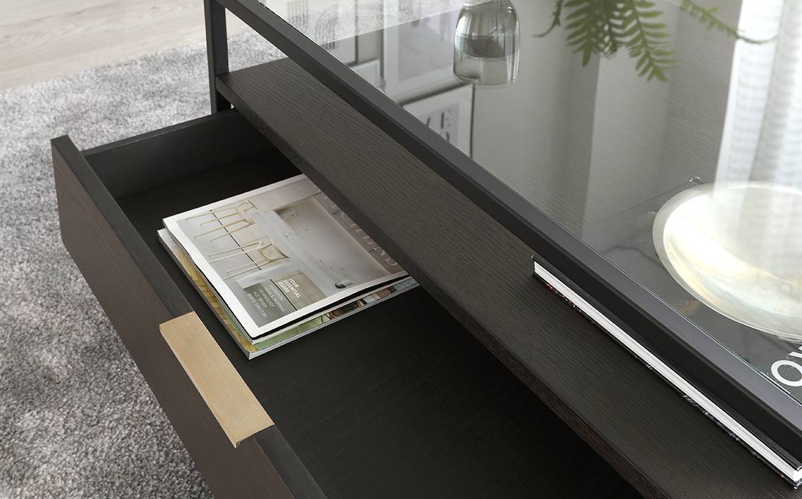 Denver Light Ash Coffee Table by Danetti