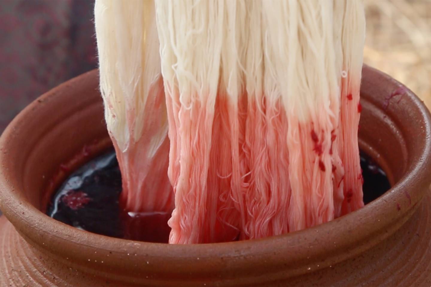 Process: Natural Dye – Checks Downtown