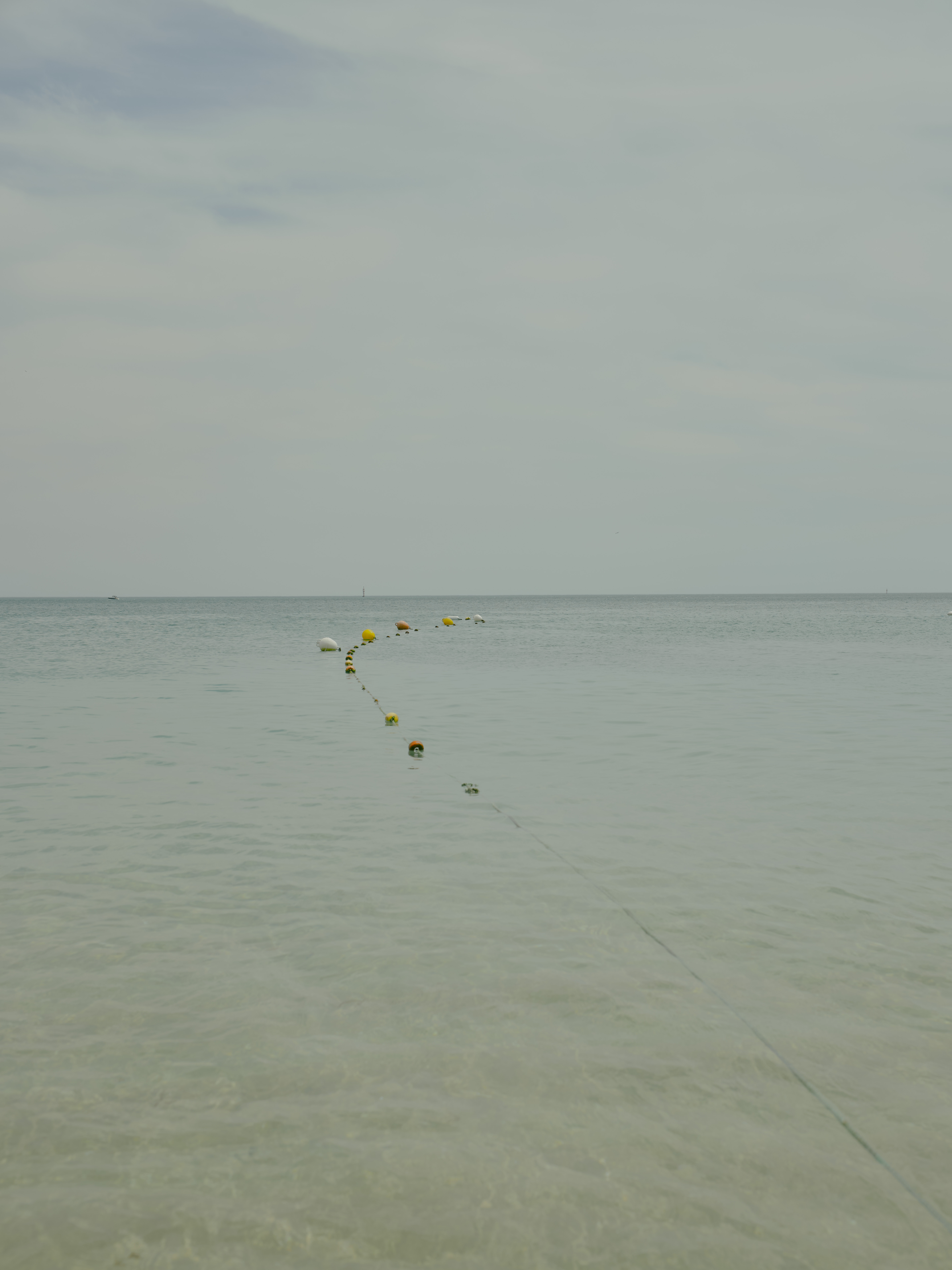 Behind The Scenes: Swim 22 Campaign – Assembly Label