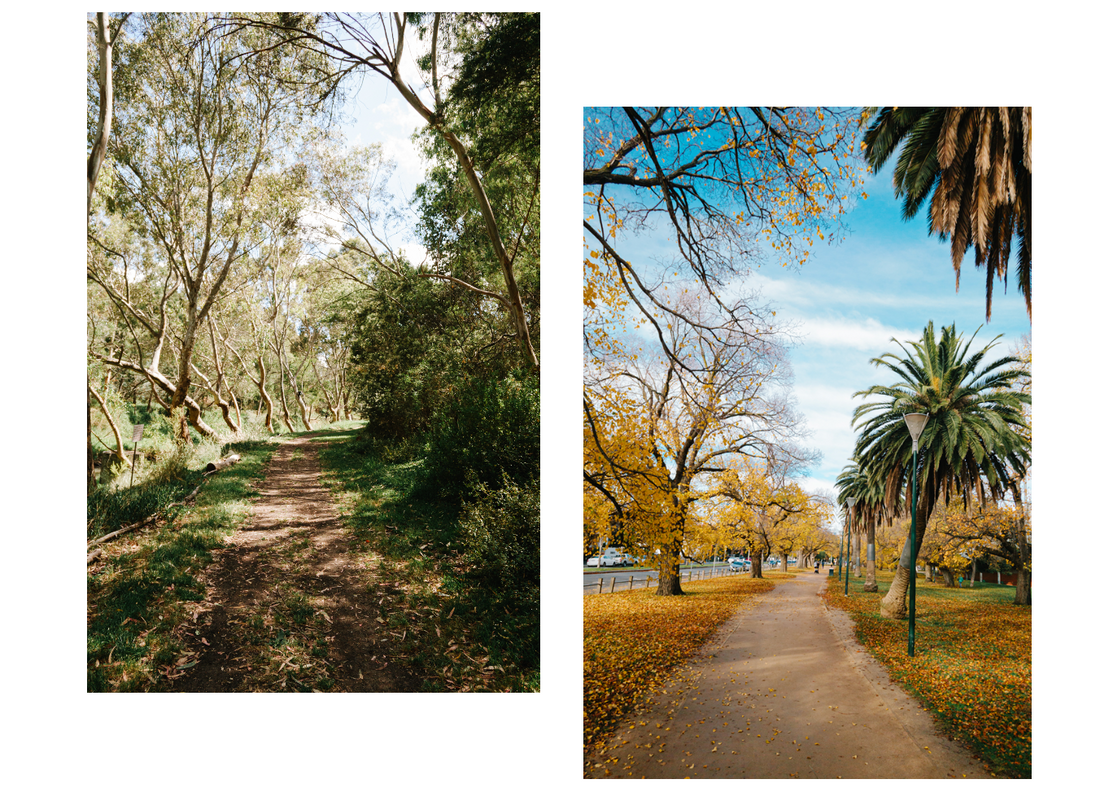 Melbourne running! Tracks and tips with Chip Mooney. – drinkalmighty