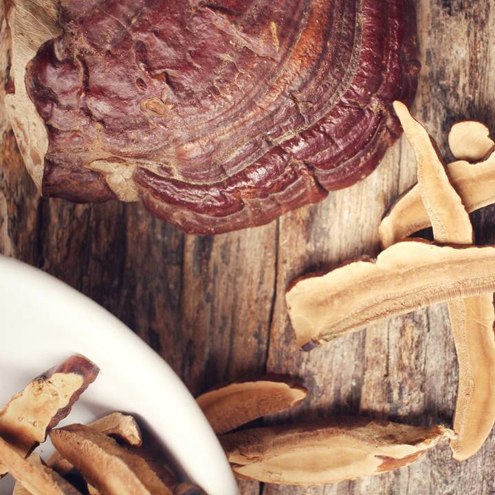Reishi | Traditional Medicinals