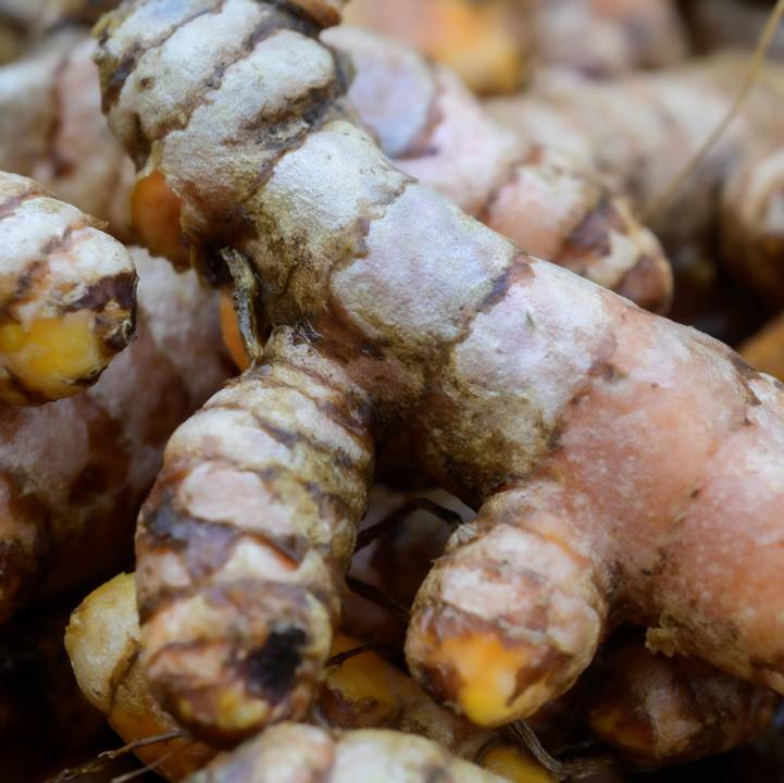 Turmeric | Traditional Medicinals