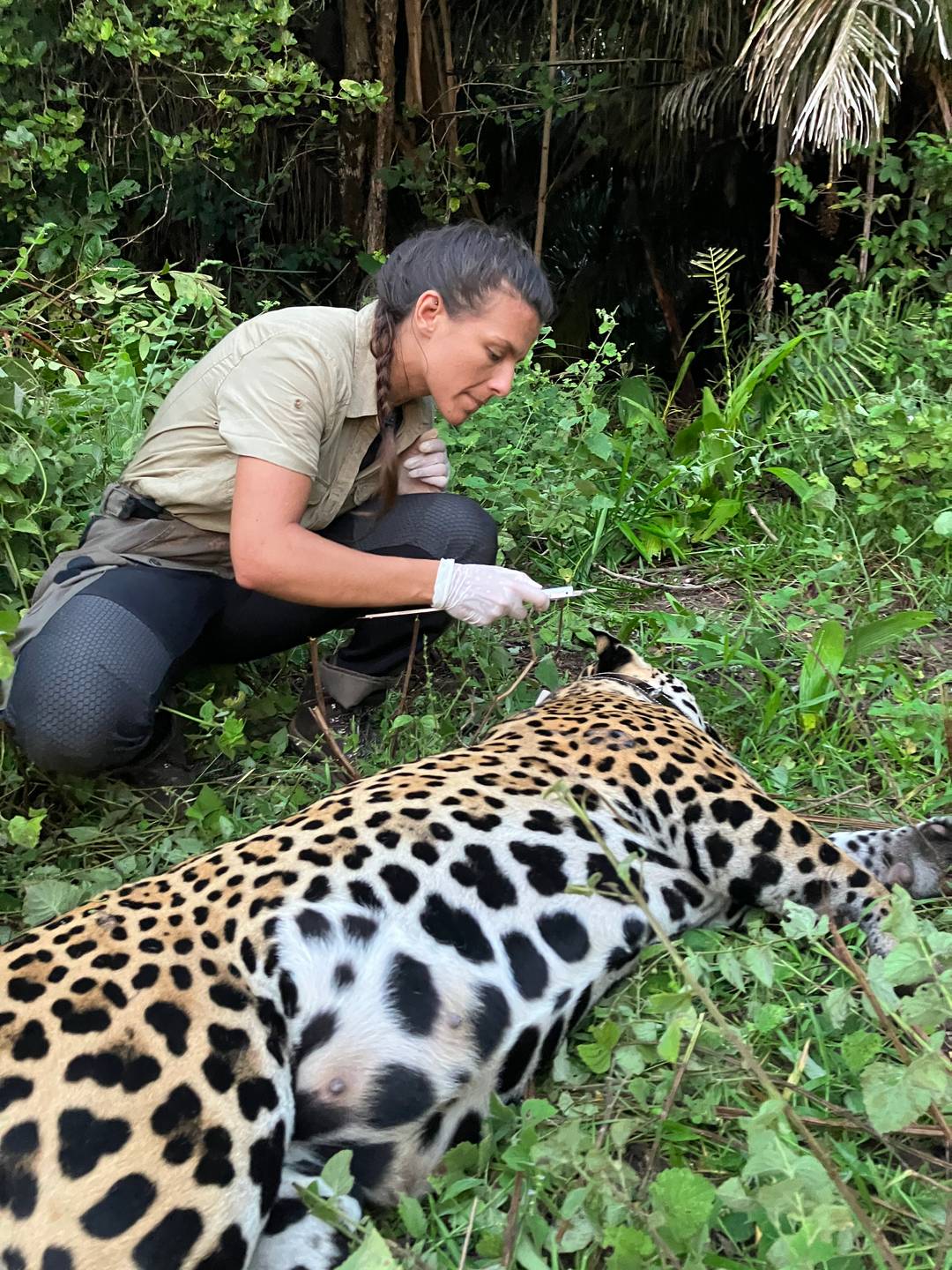 "In" the earth or "on" the earth? | An interview with Lizzie Daly ...