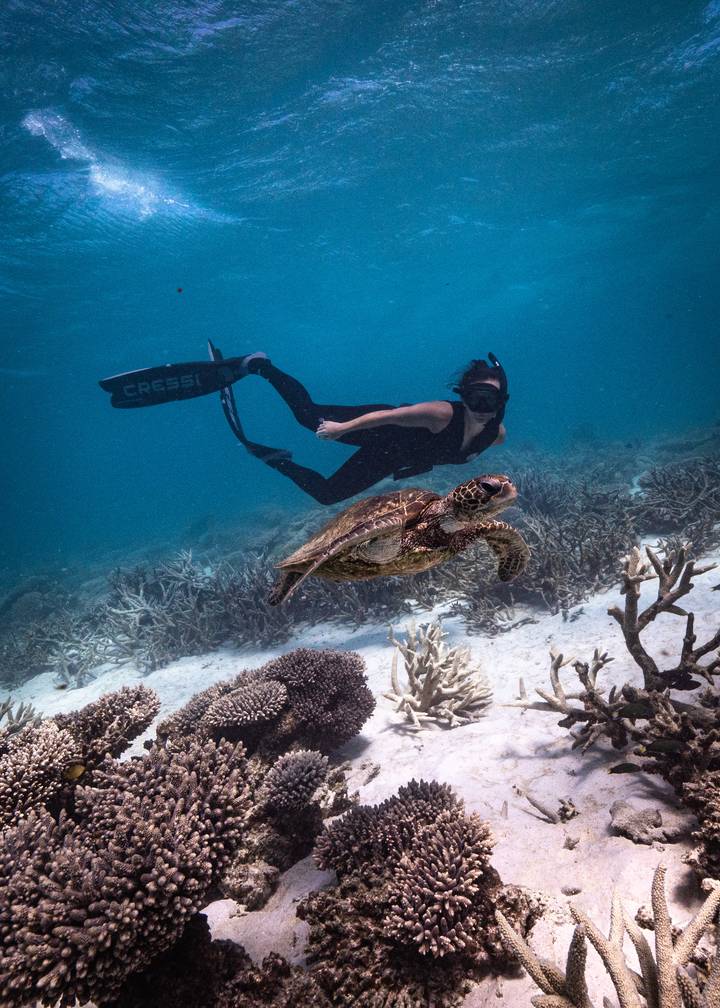 "In" the earth or "on" the earth? | An interview with Lizzie Daly ...