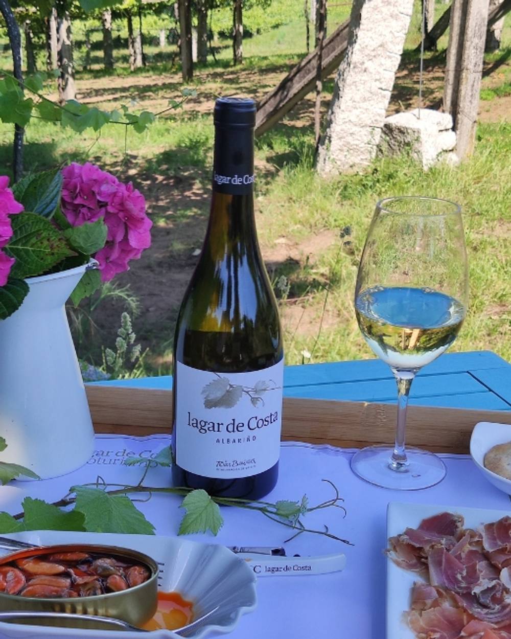 Five Spanish wines to try before you die – O'Briens Wine