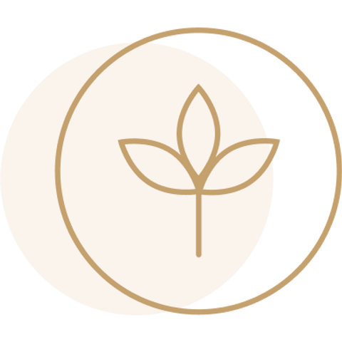 Dead Sea Skin Care Products | Vegan & Natural | AHAVA – AHAVA USA