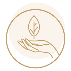 Products – AHAVA USA