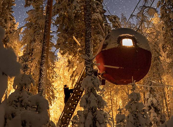 The Tree Tent | The Suspended Treehouse Camping Pod | Tree Tents USA