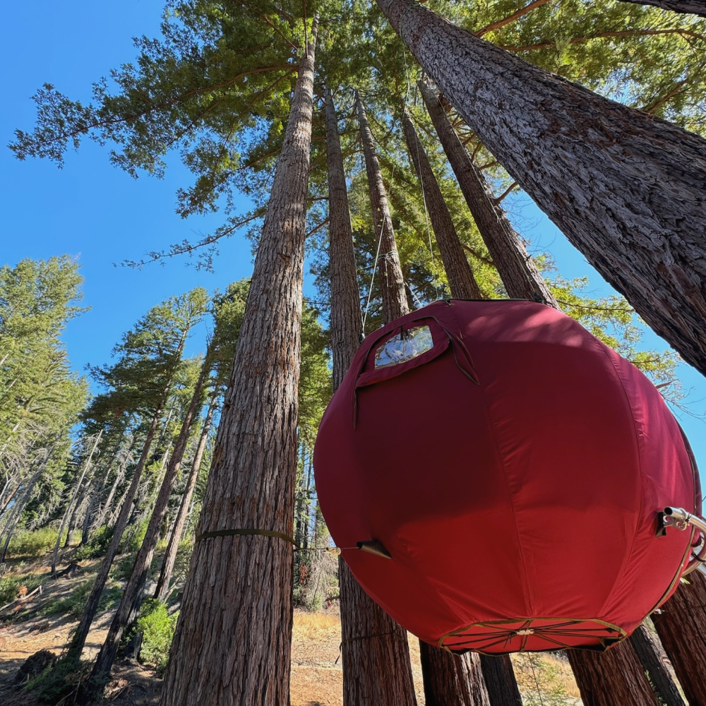 The Tree Tent | The Suspended Treehouse Camping Pod | Tree Tents USA
