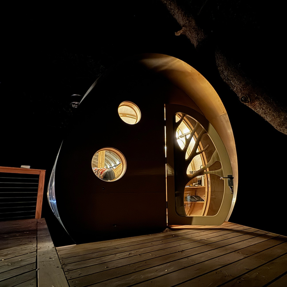 The Fuselage | Ultra-Modern and Eco-Friendly Glamping Off-Grid Cabin ...