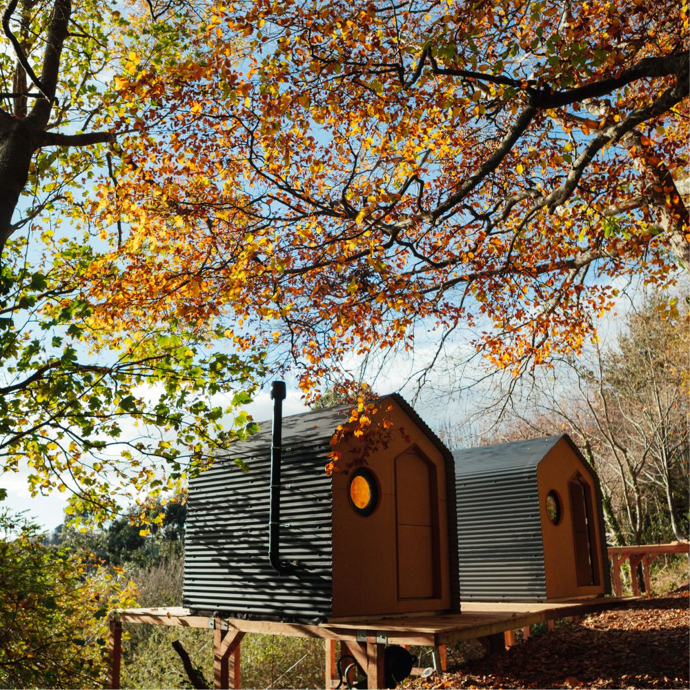 The Birdhouse | A Modern Scandinavian-Inspsired Glamping Cabin Pod ...