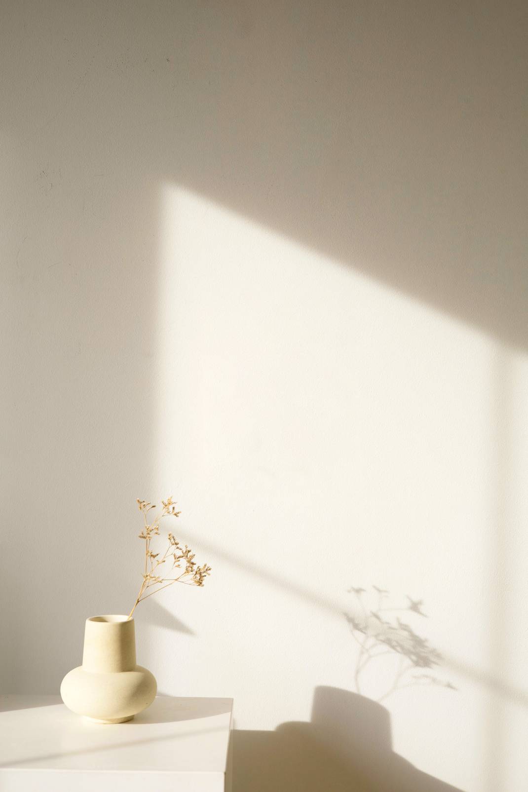 The Timeless Appeal of Minimalistic Design – Soto