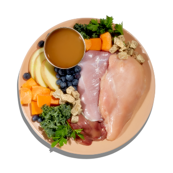 Chicken, Duck, & Quail Kibble – Made By Nacho