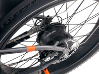 RadRover™ 6 Plus Electric Fat Tire Bike | Rad Power Bikes