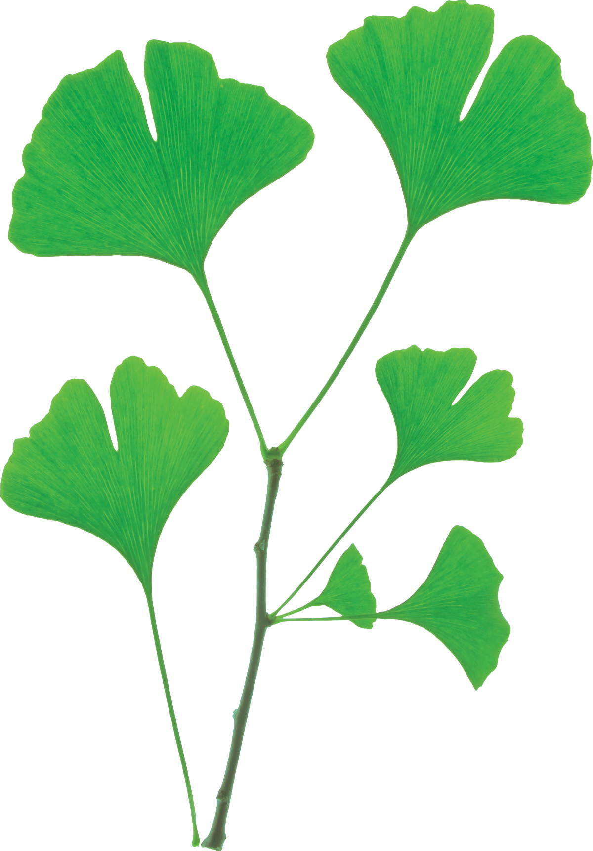 SUBI SUBI SUPER JUICE MIX - Not Flavoured