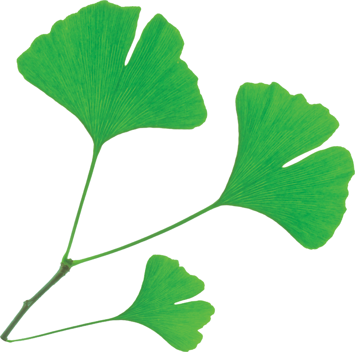 SUBI SUBI SUPER JUICE MIX - Not Flavoured