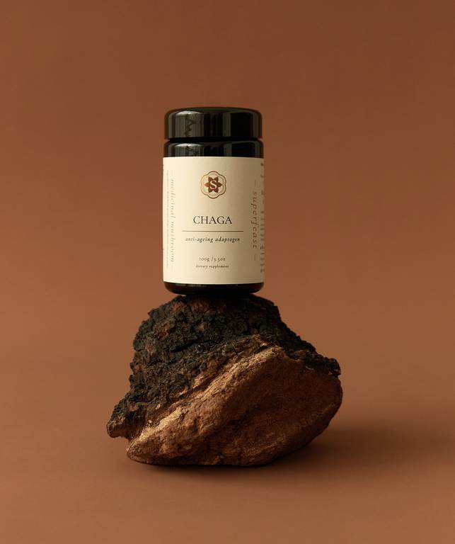 Chaga Mushroom Powder | Antioxidant Powerhouse | SuperFeast