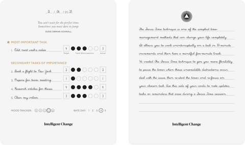 Productivity Planner® Cards - Be More Productive | Intelligent Change