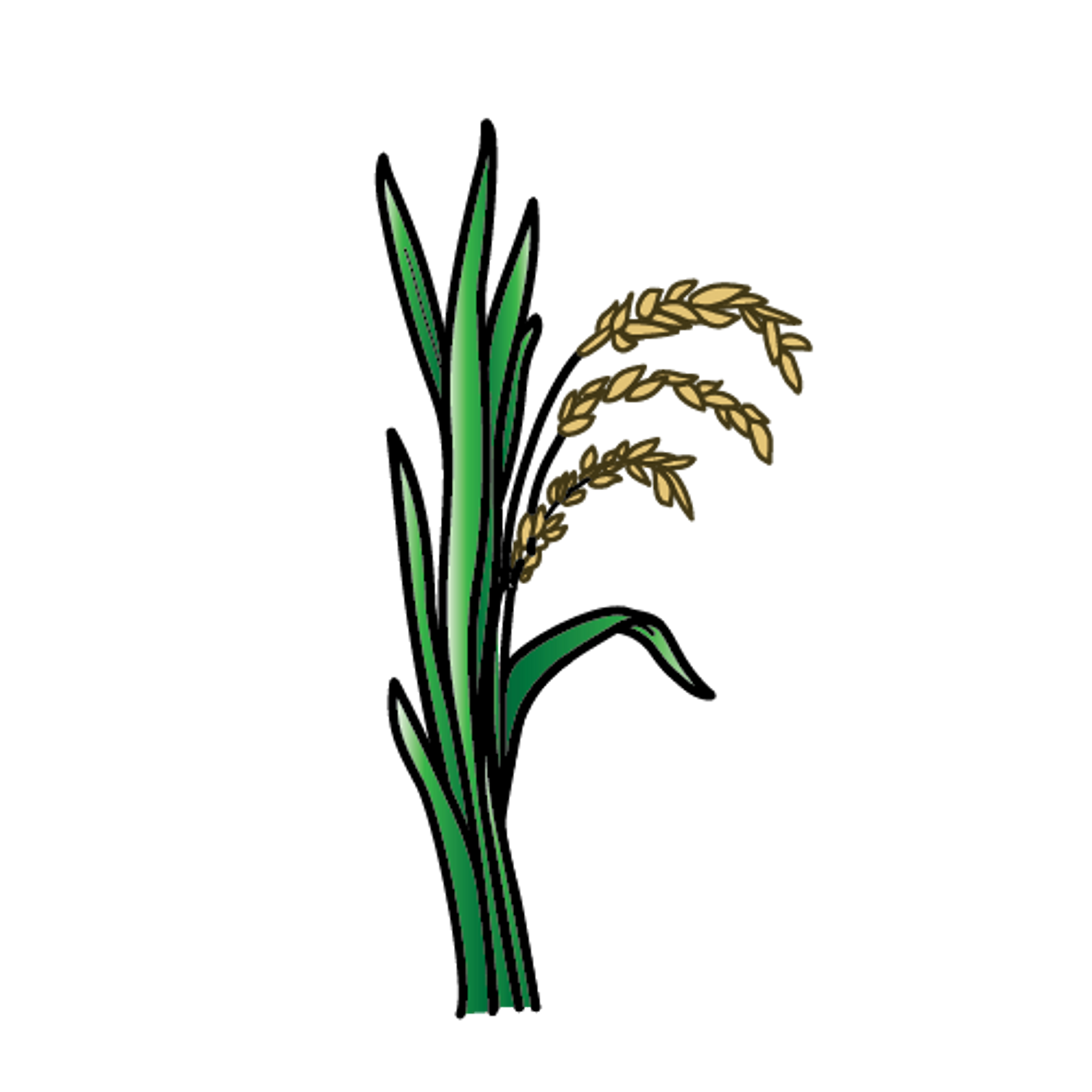 Momofuku Rice Vinegar – Momofuku Goods