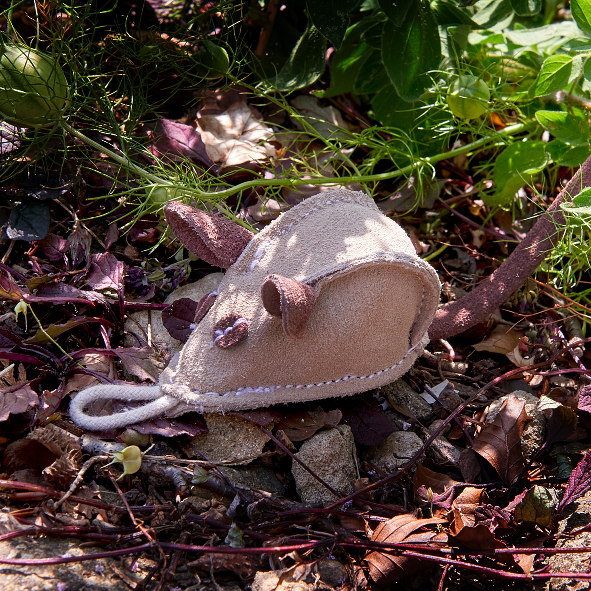Mike the Mouse | Eco Toy for Small Dogs – Green and Wilds - Retail