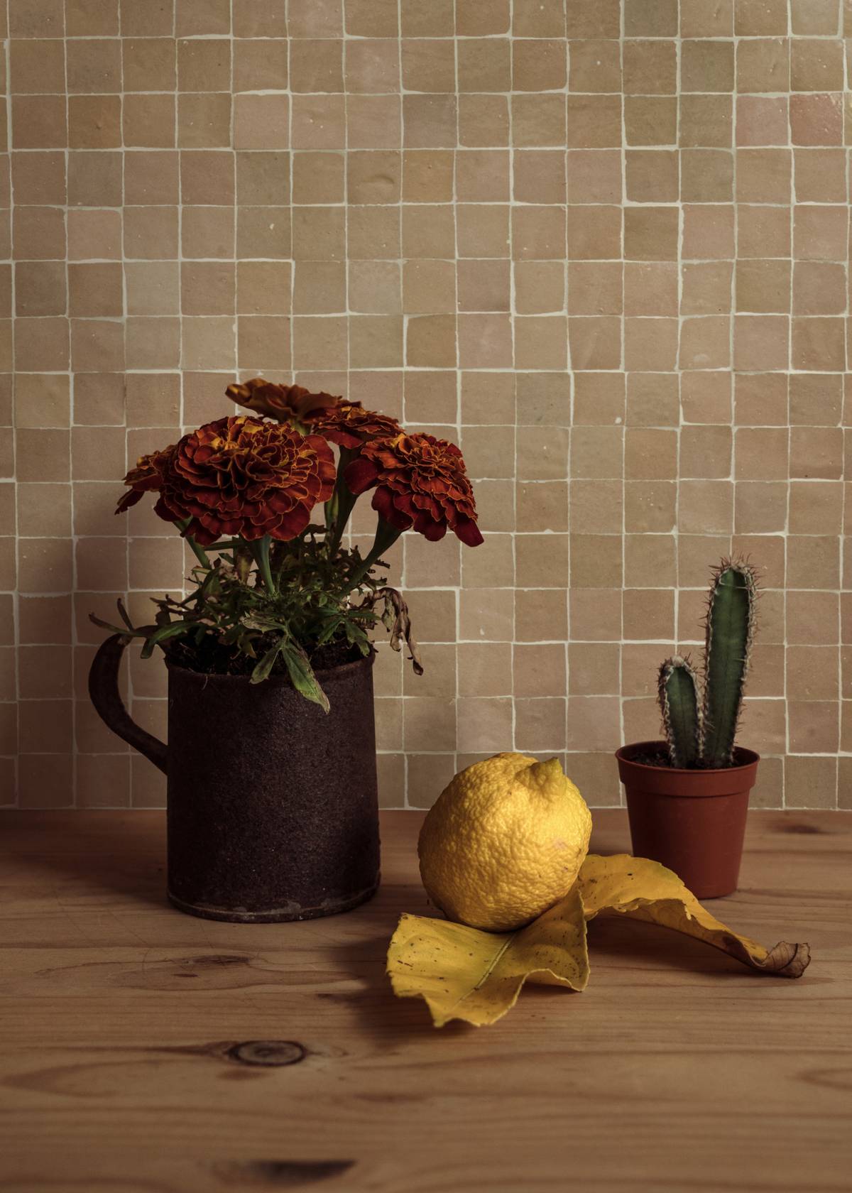 zellige tile | vesper sands natural 2" square | clé – clé tile