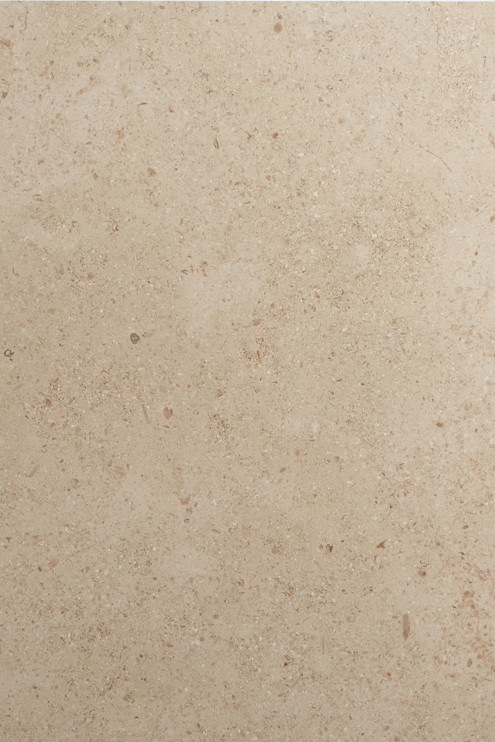 limestone | stone tile | plank | grand place | ange – clé tile
