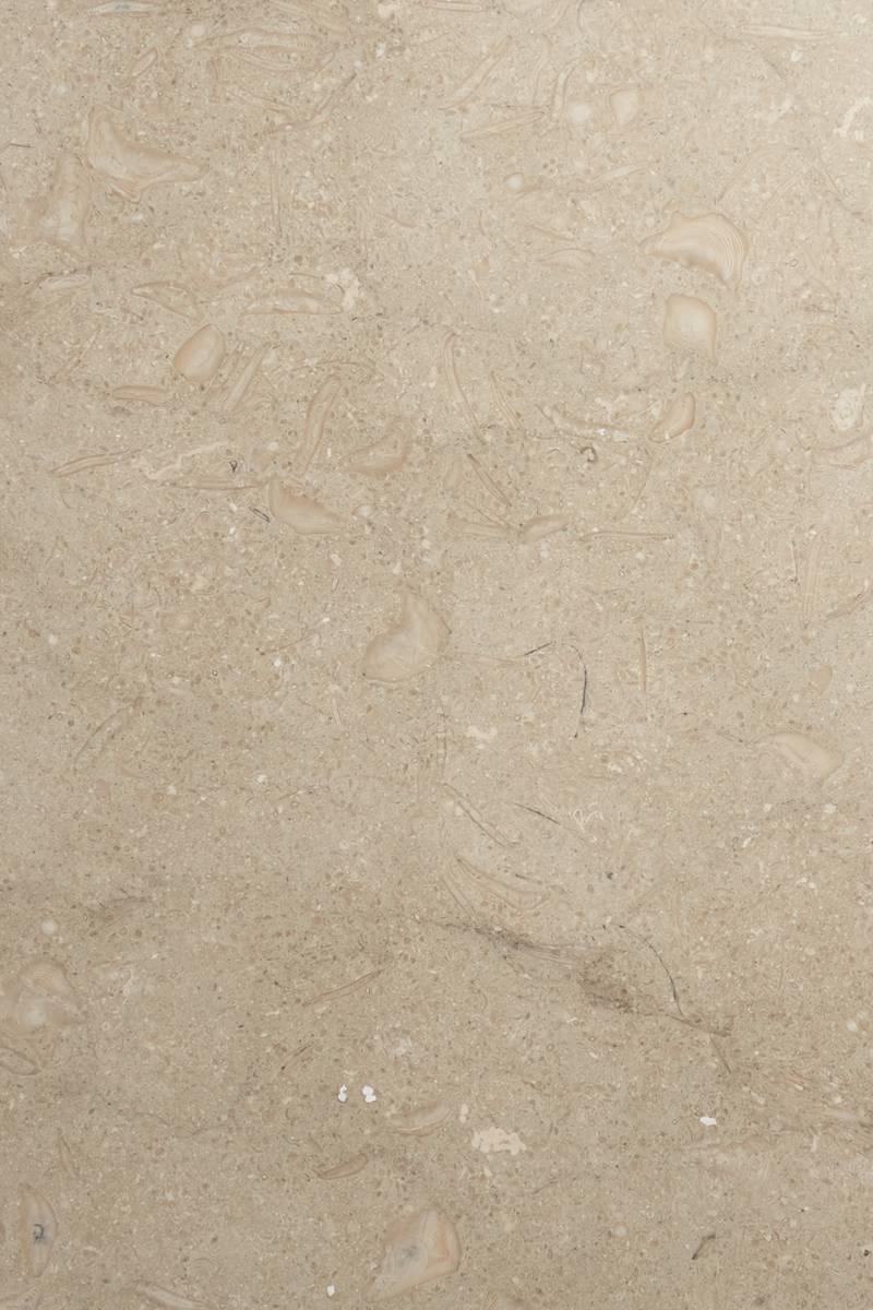 limestone | stone tile | square 18" | grand place | arbor – clé tile
