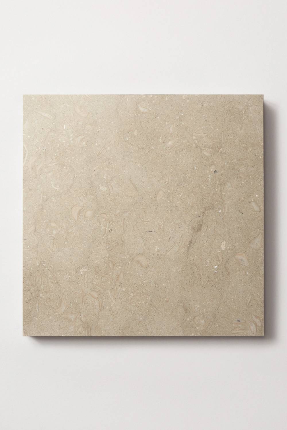 limestone | stone tile | square 18" | grand place | arbor – clé tile