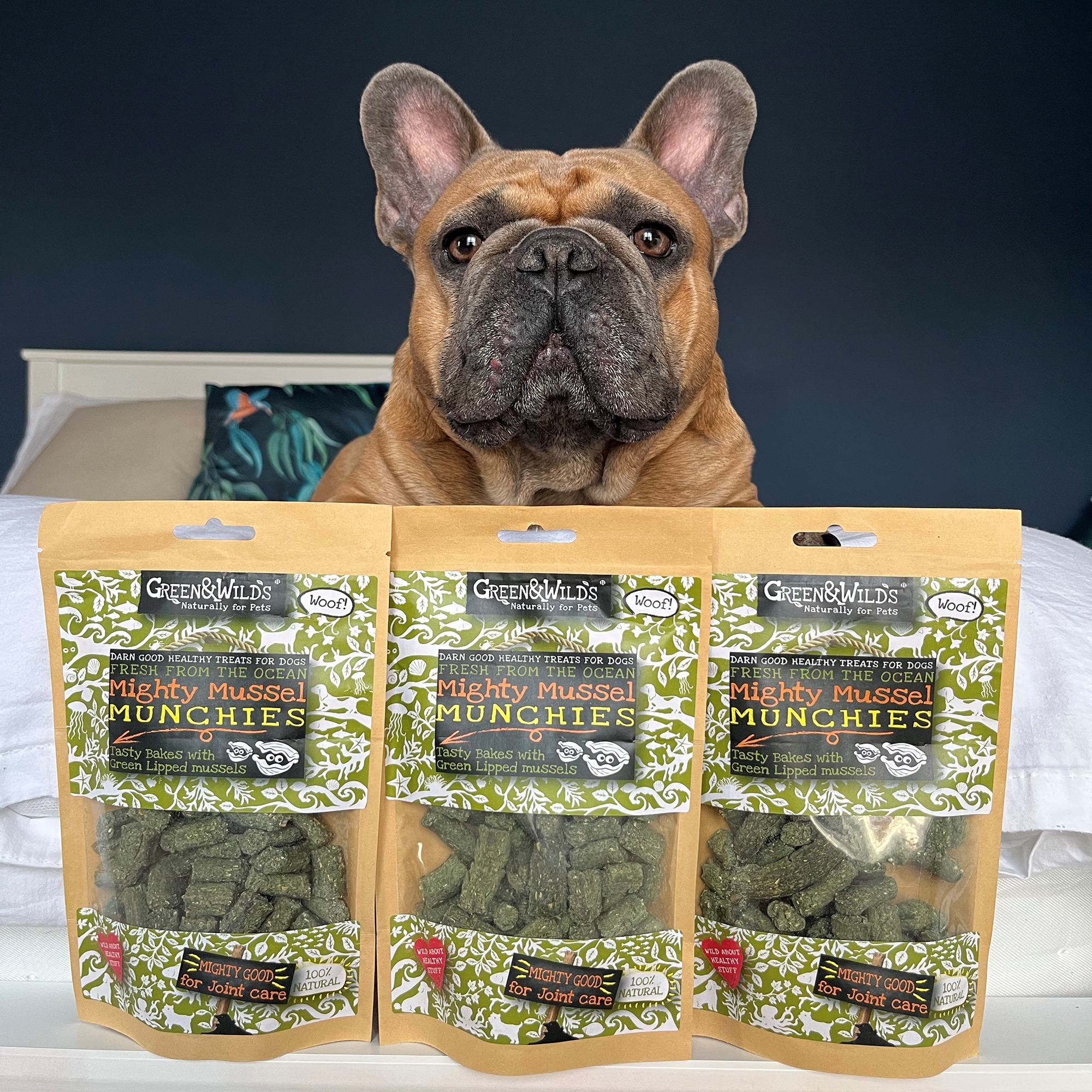 Mussel dog products store