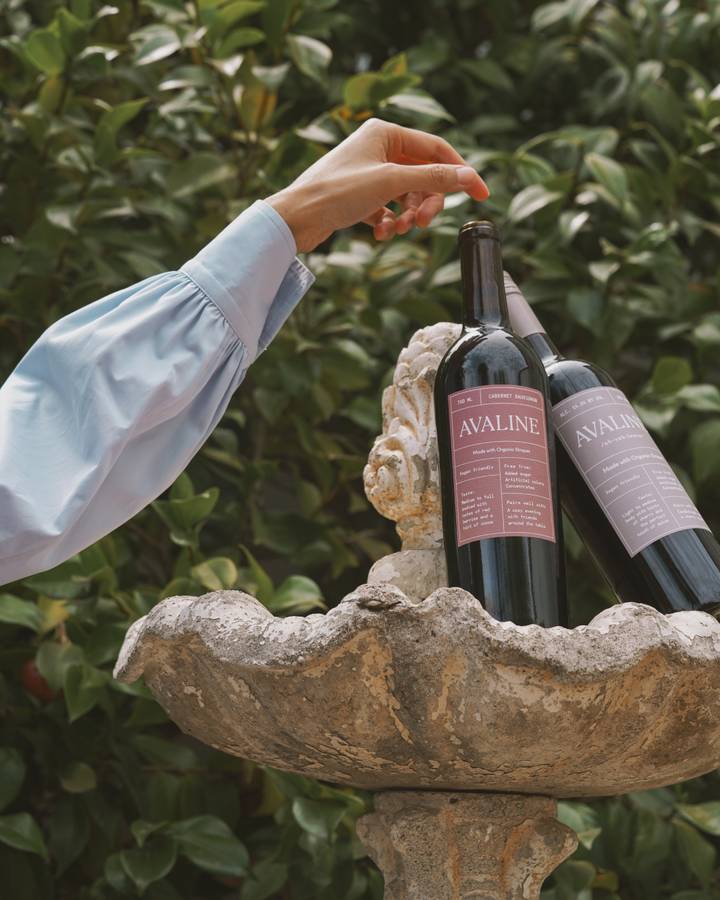 Best Organic Wine Brand | A New Standard in Wine | Avaline
